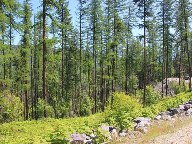 237 Timberjack Trl, Bigfork, MT 59911