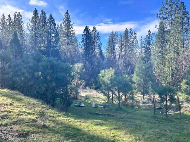 2385 Wagner Rd, Mokelumne Hill, CA 95245 | MLS #226600