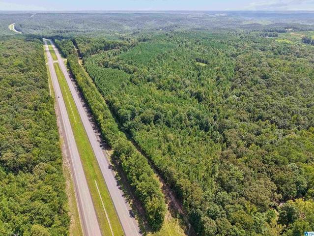 2387 County Road 131 Lot 2387, Goodwater, AL 35072