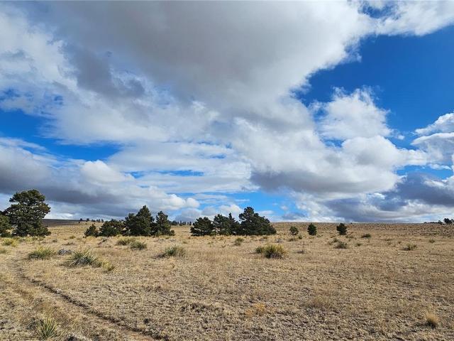 23895 County Road 144