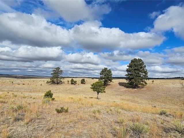 23895 County Road 144 Lot 1, Agate, CO 80101