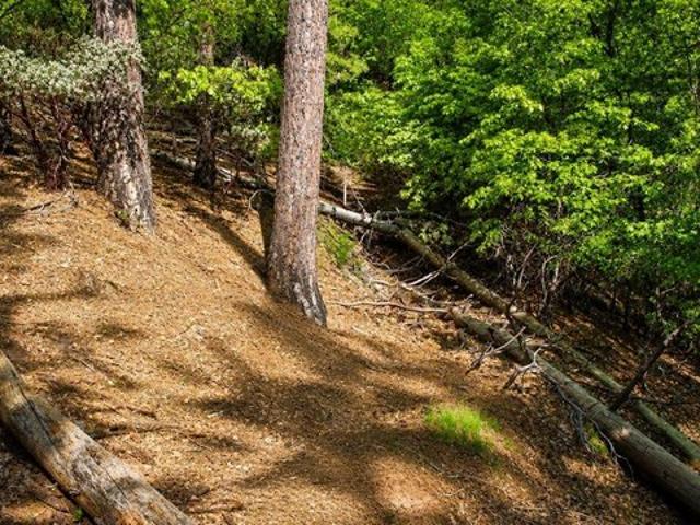 23804 S Oxbow Ln, Sonora, CA 95370