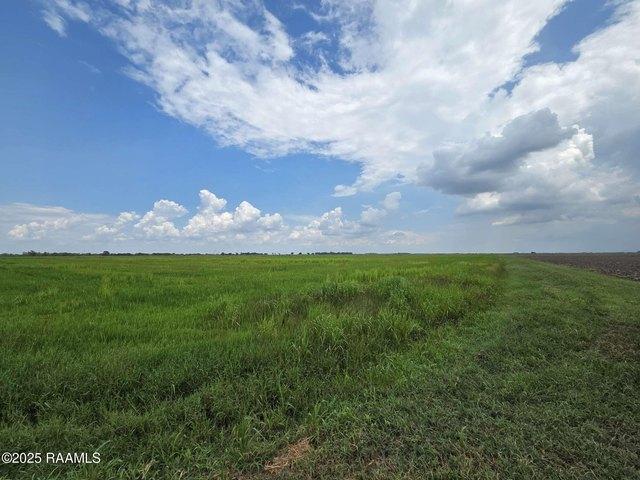 23823 Juniper Rd, Kaplan, LA 70548