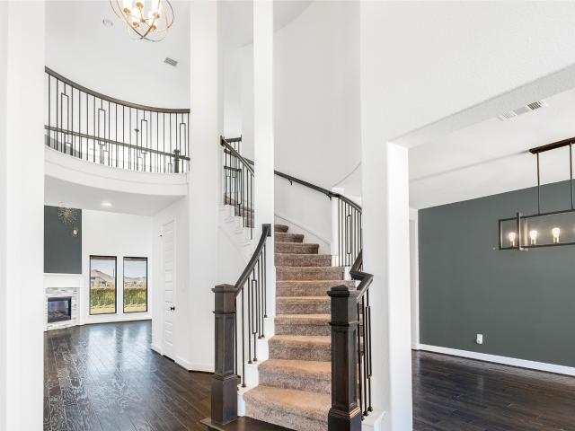 23823 Silver Liriope Lane