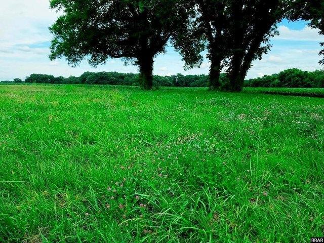 238 Gadsden Rd, Humboldt, TN 38343