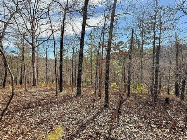 238 Fox Track Trl, Kansas, OK 74347