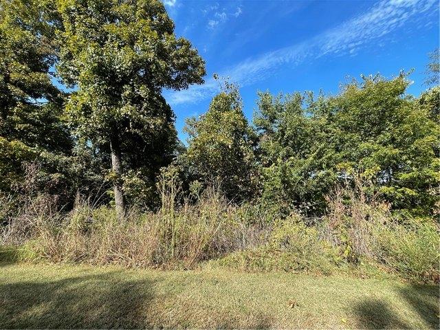 238 Holiday Island Dr Lot 27, Holiday Island, AR 72631