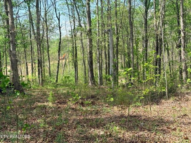 238 Joe Barnett Rd