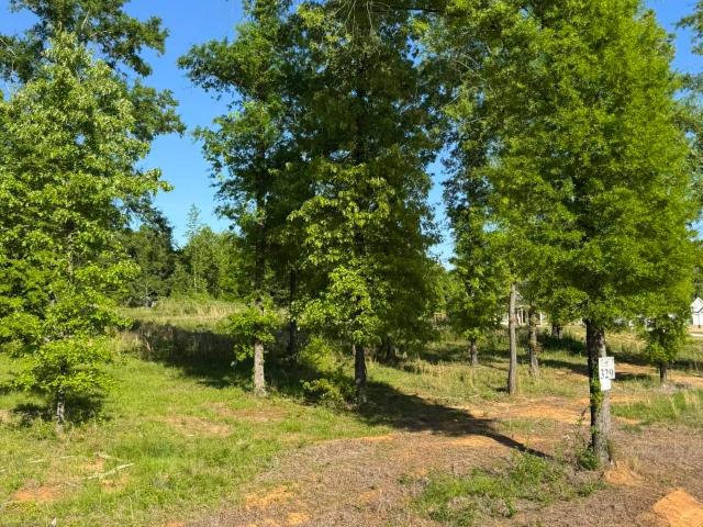 238 Navigator Trail Lot 329