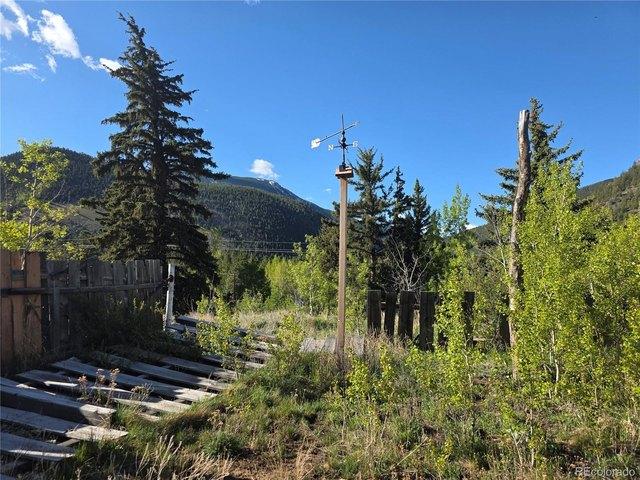 238 W Hanchett Rd, Empire, CO 80438