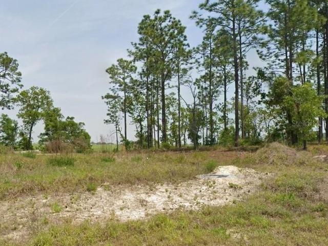 23949 NW Falcon Ave, Dunnellon, FL 34431