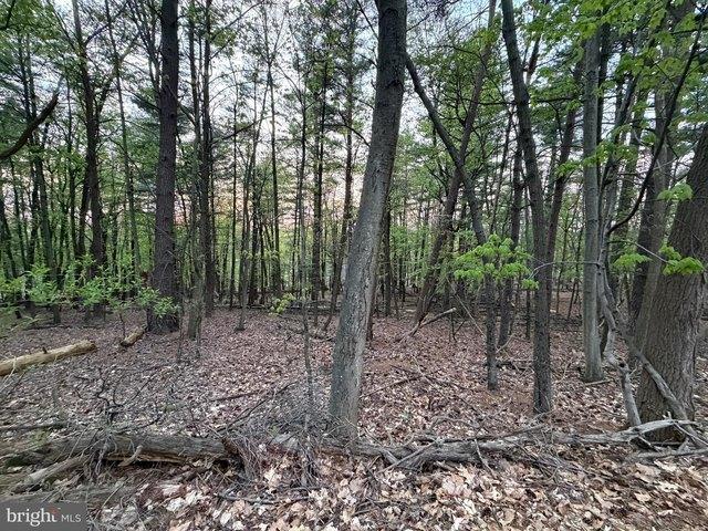 2394 Crow Foot Dr, Auburn, PA 17922