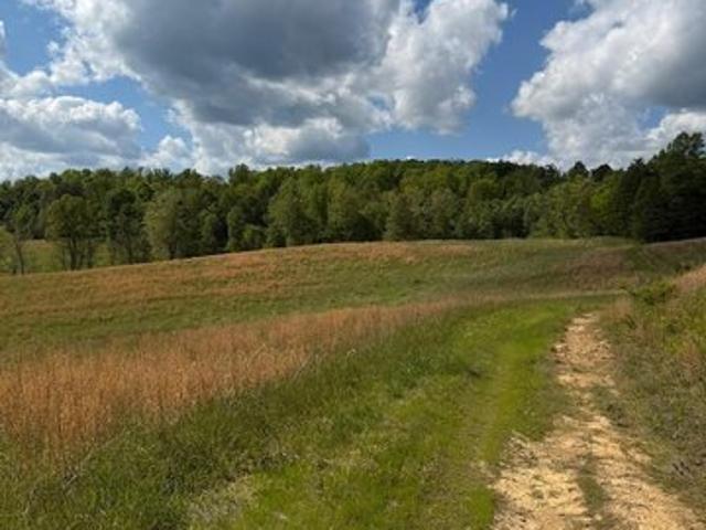 2395 Stringtown Rd, Sandy Hook, KY 41171
