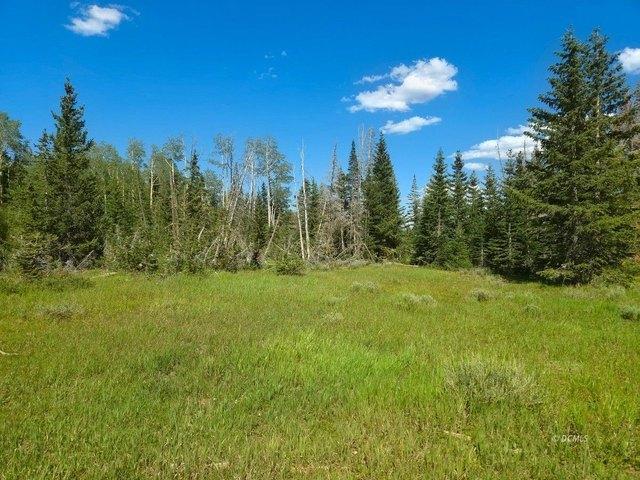 2397 E Rainbow Ln, Brian Head, UT 84719