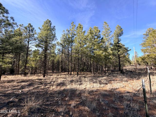2397 Wigeon Way, Unit 6, Happy Jack, AZ 86024 | MLS #7000