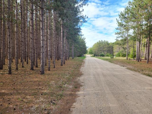 2398 Bittersweet Drive