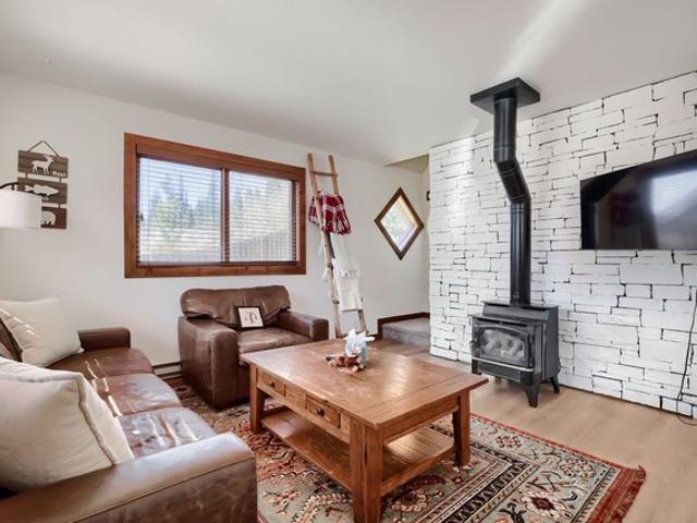 2399 County Road 6, Fairplay, CO 80440