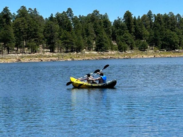 2399 Quarter Horse Trl, Unit 241, Overgaard, AZ 85933 | MLS #6914