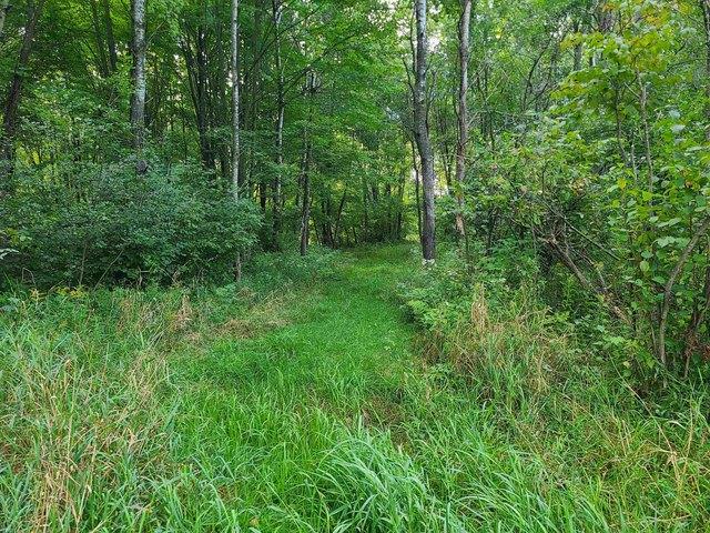 239095 Dawson Rd, Athens, WI 54411