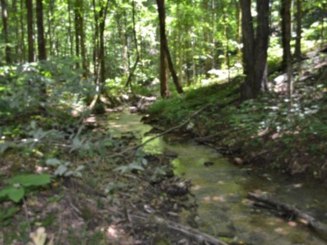 2390 Pea Ridge Fire Tower Rd