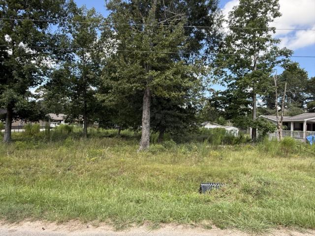 23923 Paper Wasp Lane
