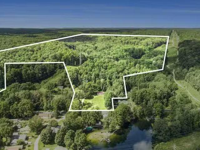 23920 BEERS RD, MESICK, MI 49668 Vacant Land For Sale MLS# 24.