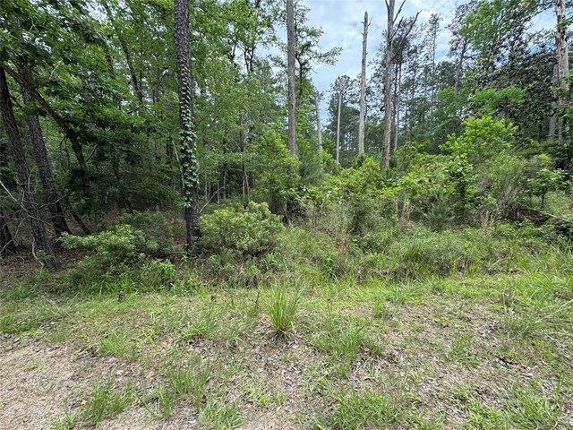 239238 Arborcrest Dr, Brookeland, TX 75931