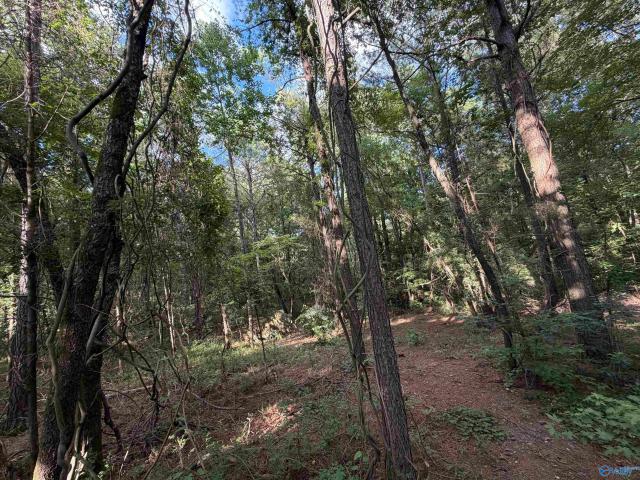 23930 Flanagan Road