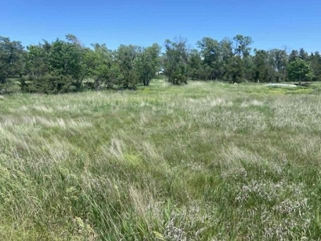 239th St and 294th Avenue St, Vivian, SD 57576