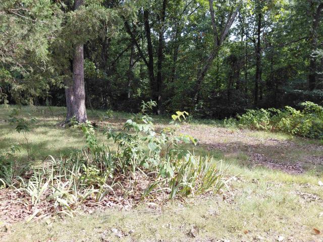 239 Hiawatha Drive
