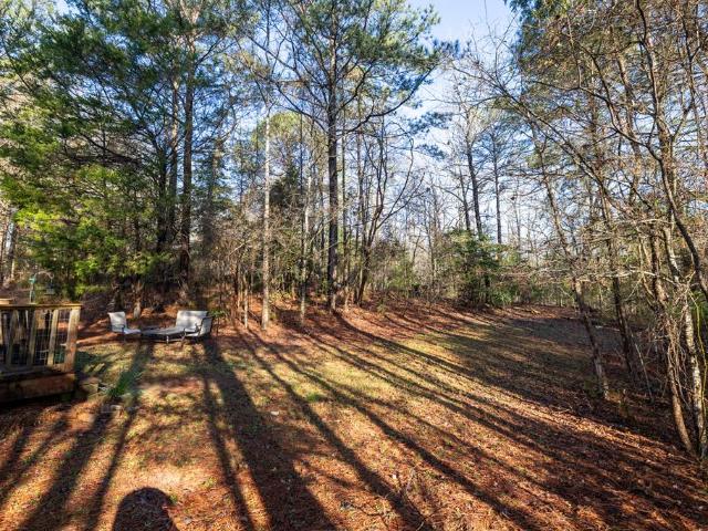 239 Ossahatchie Dr, Ellerslie, GA 31807 | MLS #232686