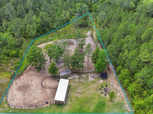 239 M P Parker Rd, McHenry, MS 39561 | MLS #4147