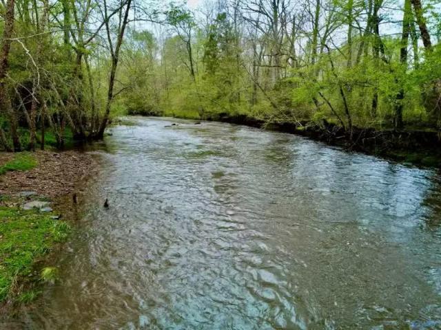 239 MINT SPRINGS RD UNIT A, NEW MARKET, AL 35761