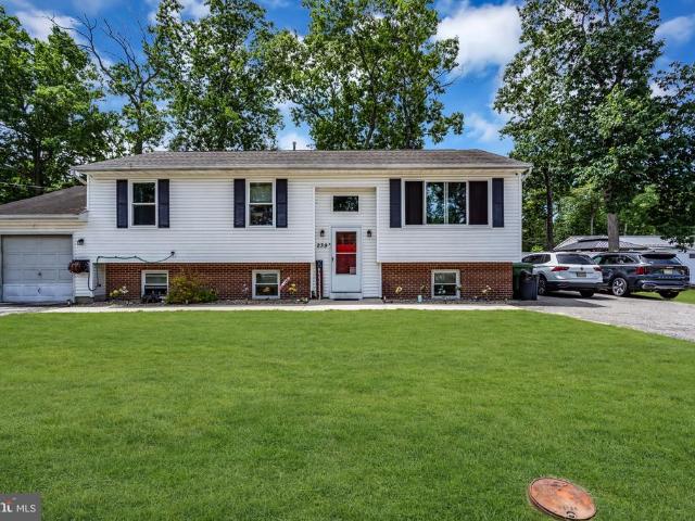 239 Salvia Street