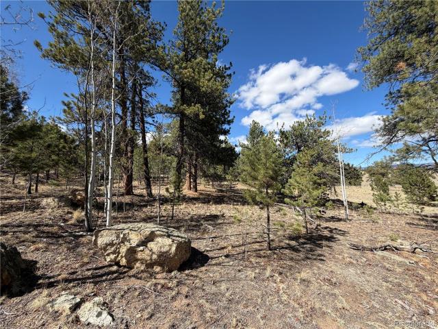 239 Shenandoah Path