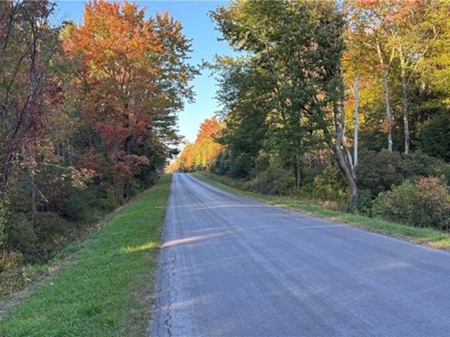 239 White Rd, Parish, NY 13131