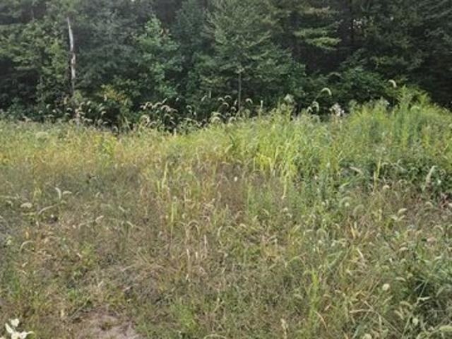 239 Thompson St, Shelton, CT 06484