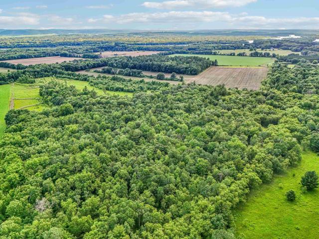 27.45 ACRES Maass Road