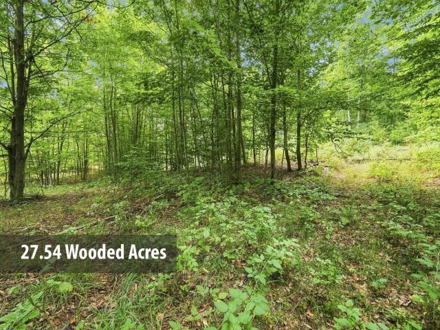 27.5 Acres S Hill Road