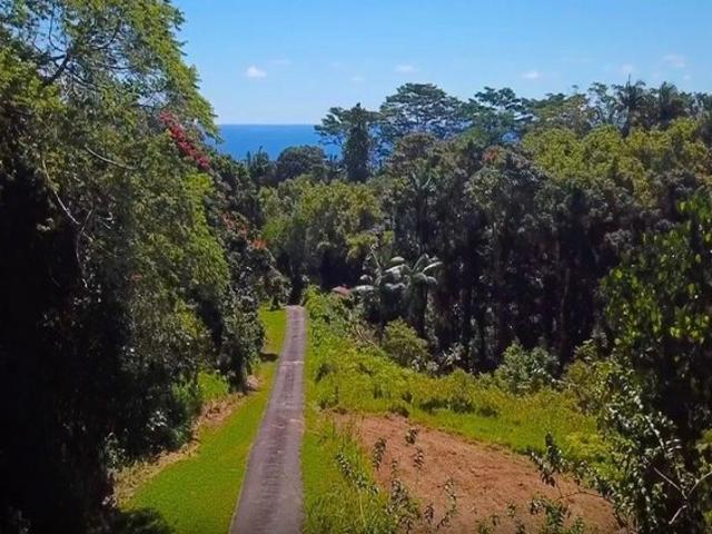 27 2430 Hawaii Belt Rd, Papaikou, HI 96781