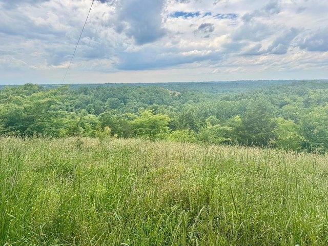 27.28 Acre Highway 467, De Mossville, KY 41033