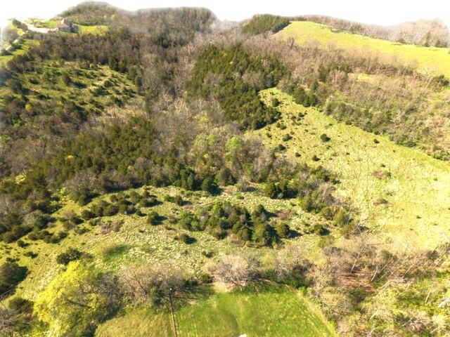 27.28 Acre Highway 467, De Mossville, KY 41033