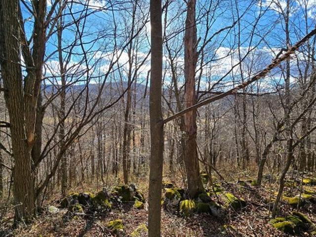 27 Acres Big Spg # Elk, Slatyfork, WV 26291