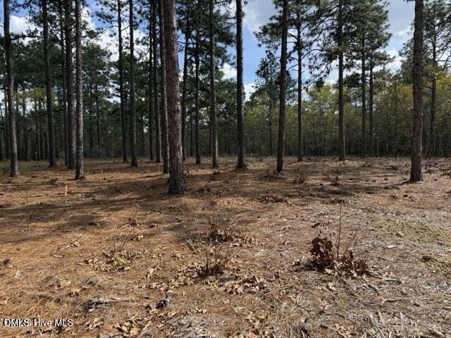27 Birkdale Way, Pinehurst, NC 28374