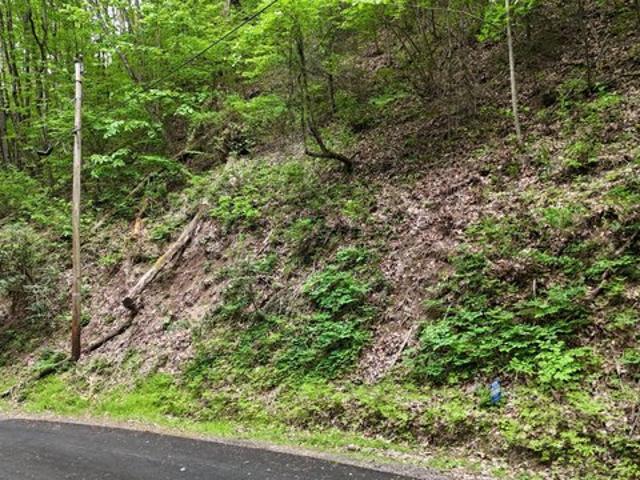 27 Black Walnut Flats Rd, Sevierville, TN 37876