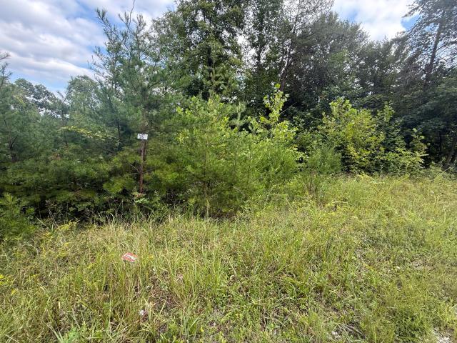 27 Buck Creek Circle
