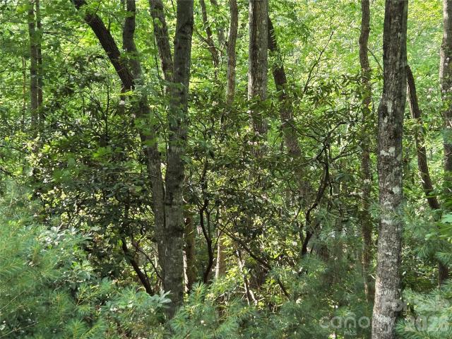 27 Dividing Ridge Trail # 14