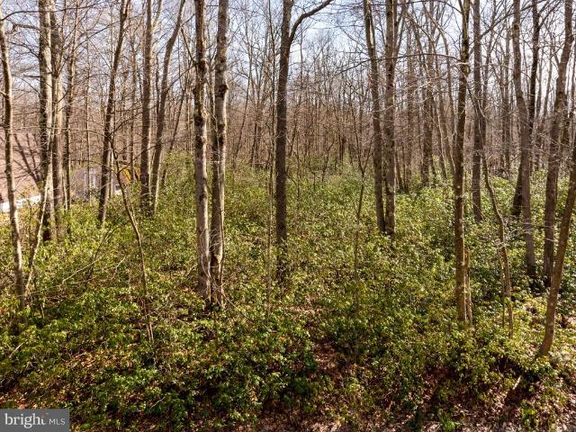27 Gobbler Run Road