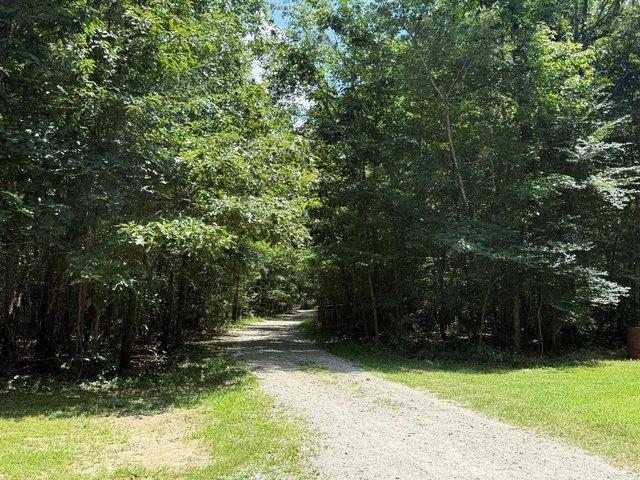 27 Lawrence Road 134, Black Rock, AR 72415