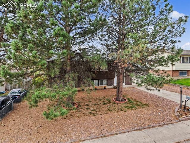 27 McBurney Boulevard